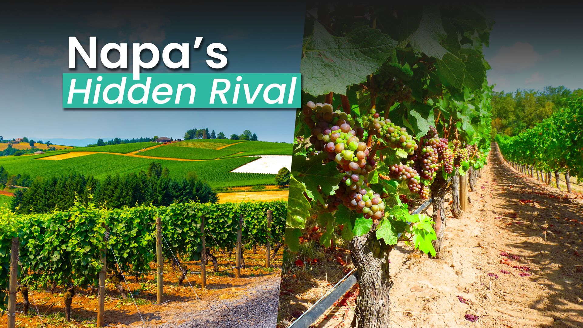 This U.S. State Has Two "Napa Valleys" That Rival California's