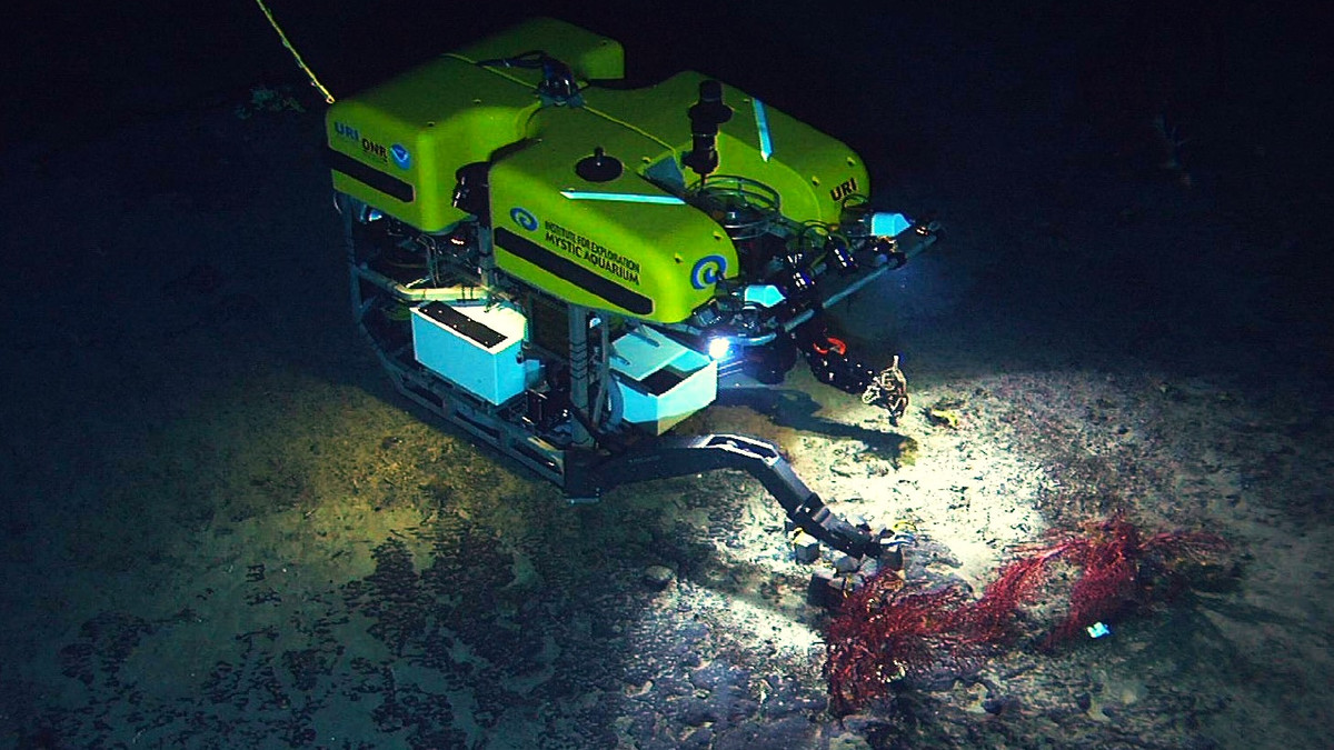 A 'Super Weird' Structure Was Just Found On The Ocean Floor, And ...