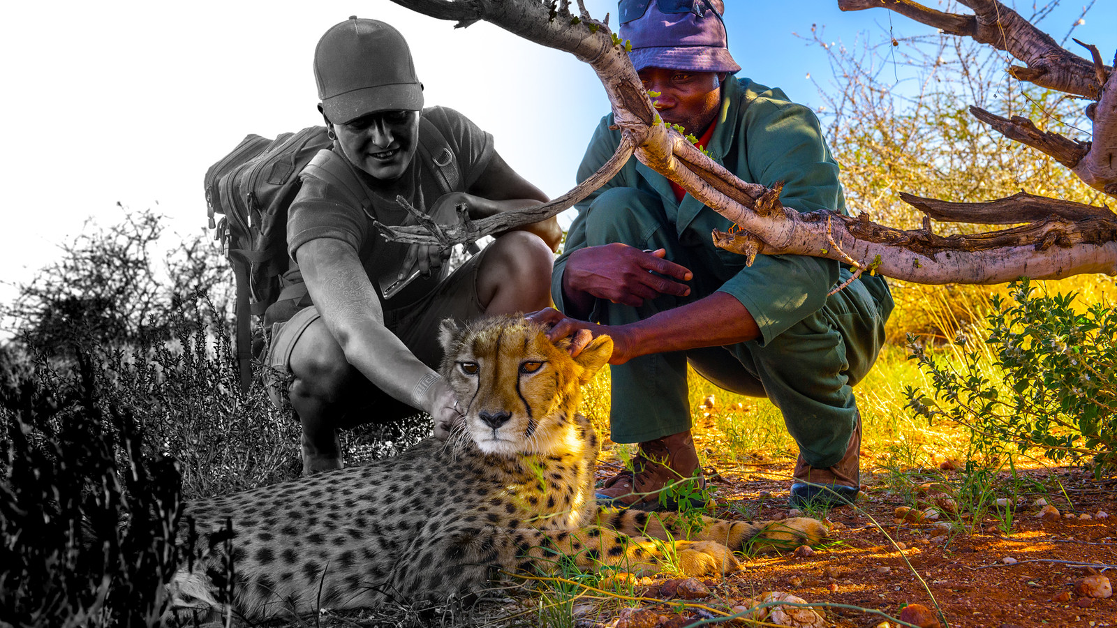 Governments Around The World Are Banning This "Harmless" Tourist ...