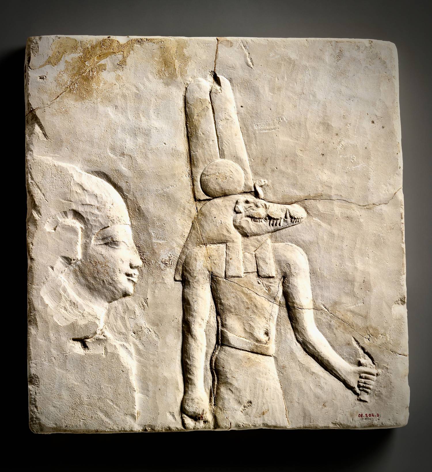 A 3,000-Year-Old Crocodile's Insides Revealed Strange Ancient Egyptian ...