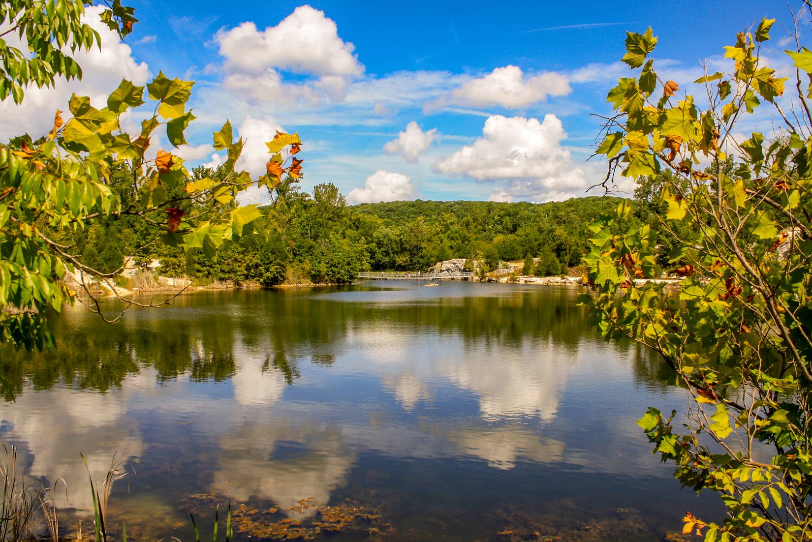 The "Napa Valley" Of Missouri Was The USA's First Wine Region—So Why ...