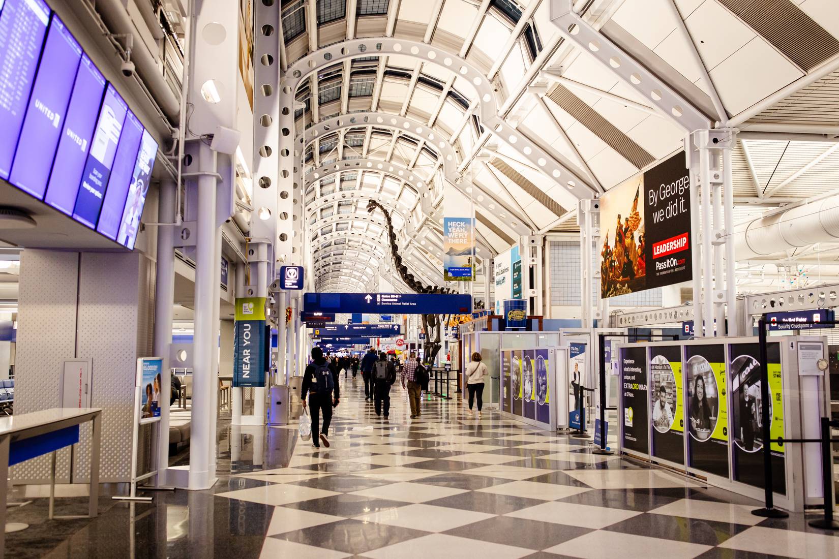 Southwest Airlines Leads The Way With Over 726 Flight Disruptions After ...