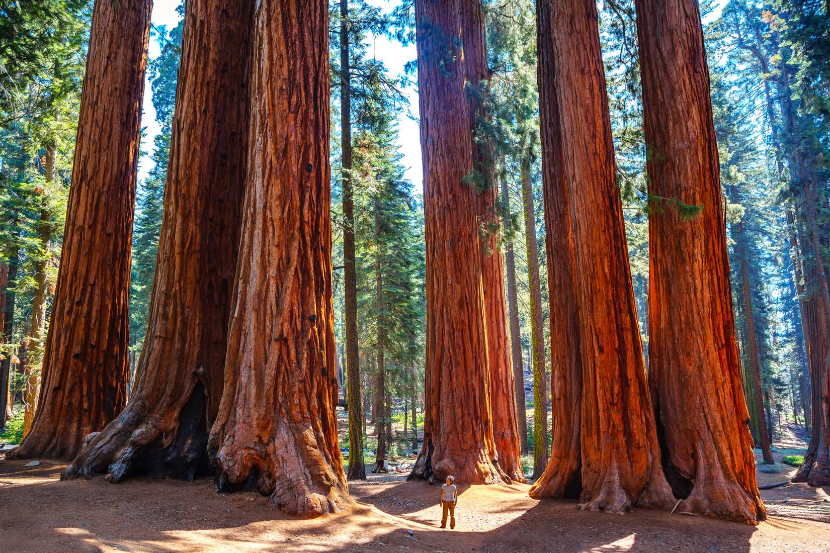 The Beautiful City That’s The Gateway To Yosemite