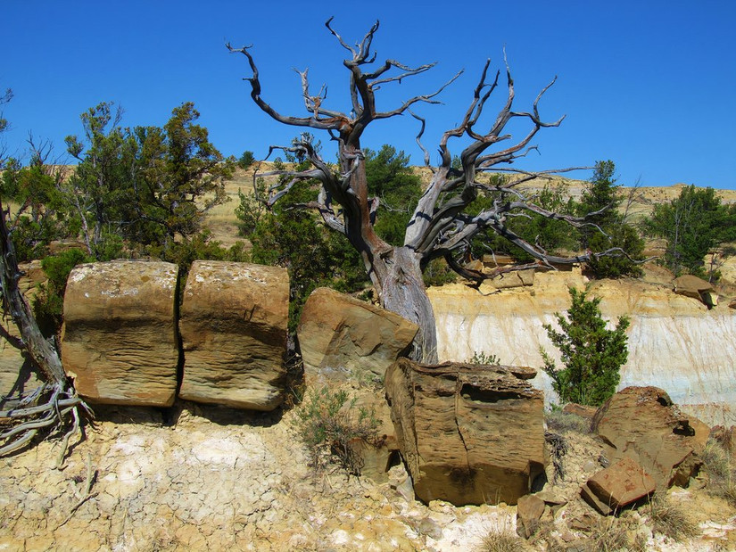 Montana's Most Underrated Grand Canyon Lookalike Is A Little-Known Area ...