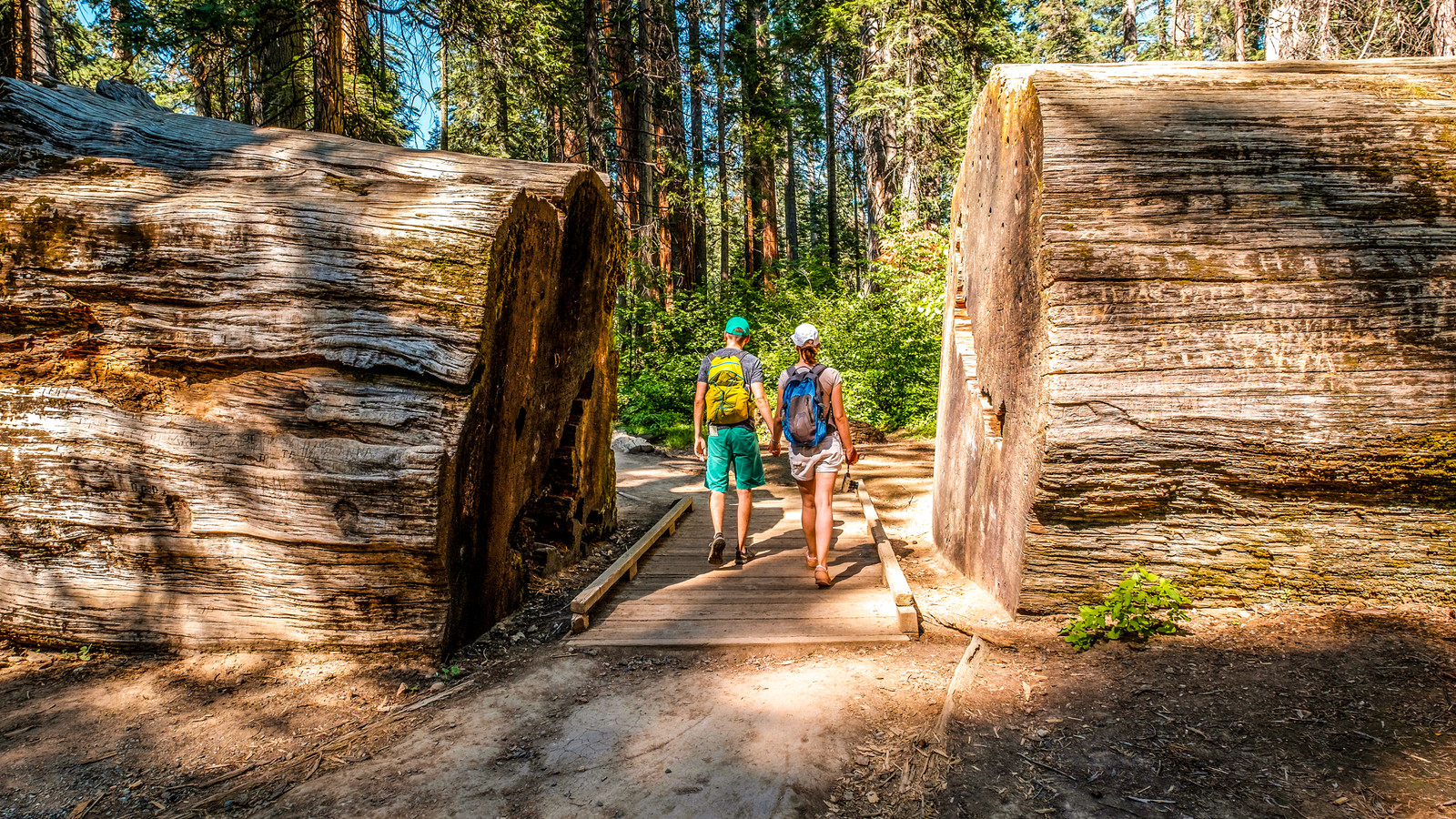 This Little-Known California Park Rivals Yosemite With Giant Sequoias ...