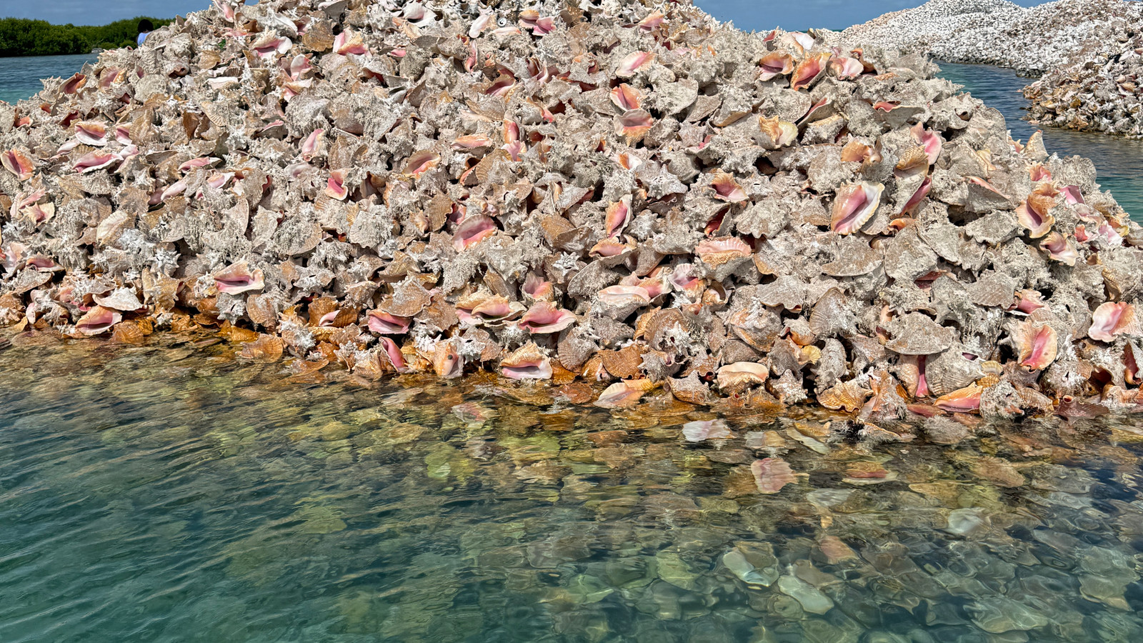The Caribbean's "Conch Island" Gets Bigger Every Day