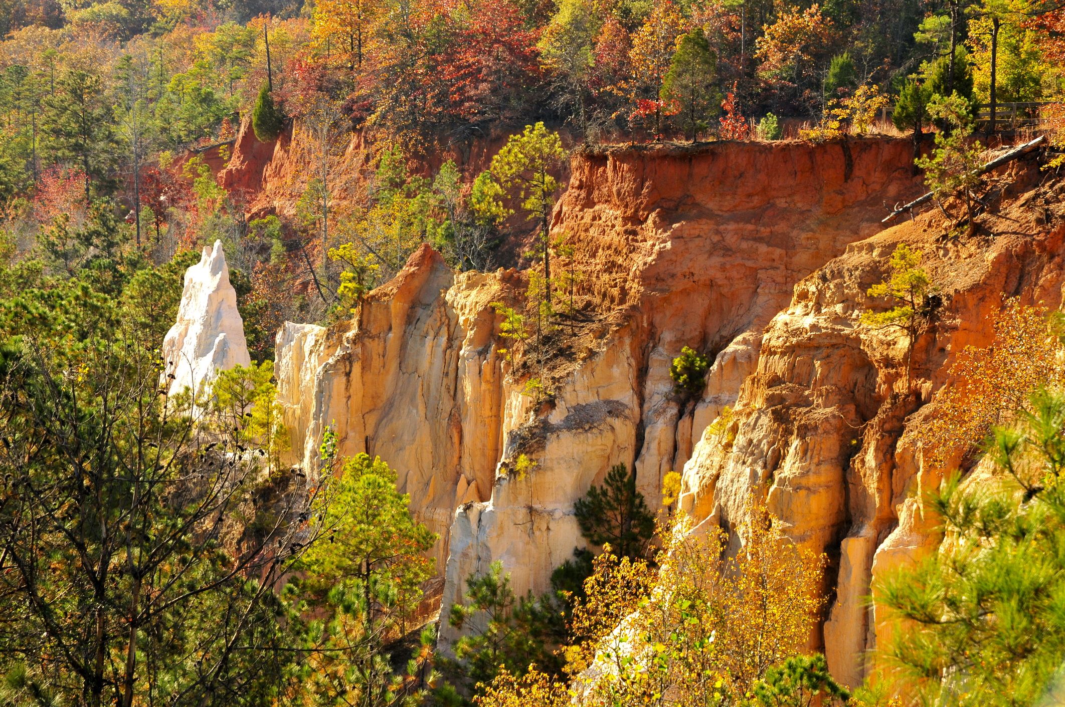This Mini Grand Canyon in the U.S. Is Just 200 Years Old and Totally ...