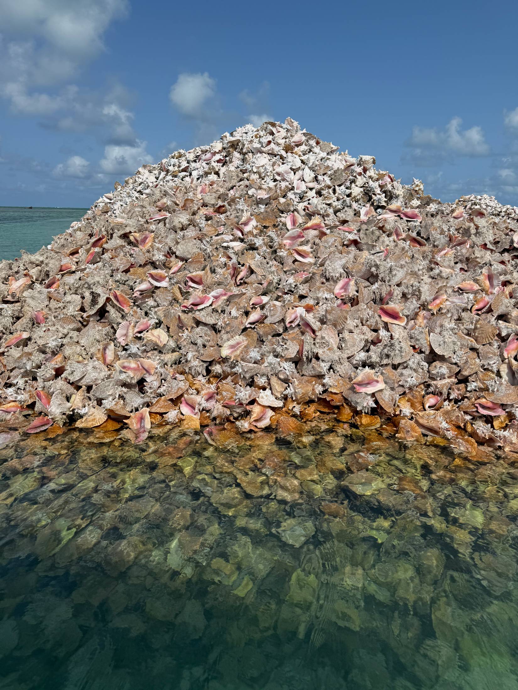The Caribbean's "Conch Island" Gets Bigger Every Day