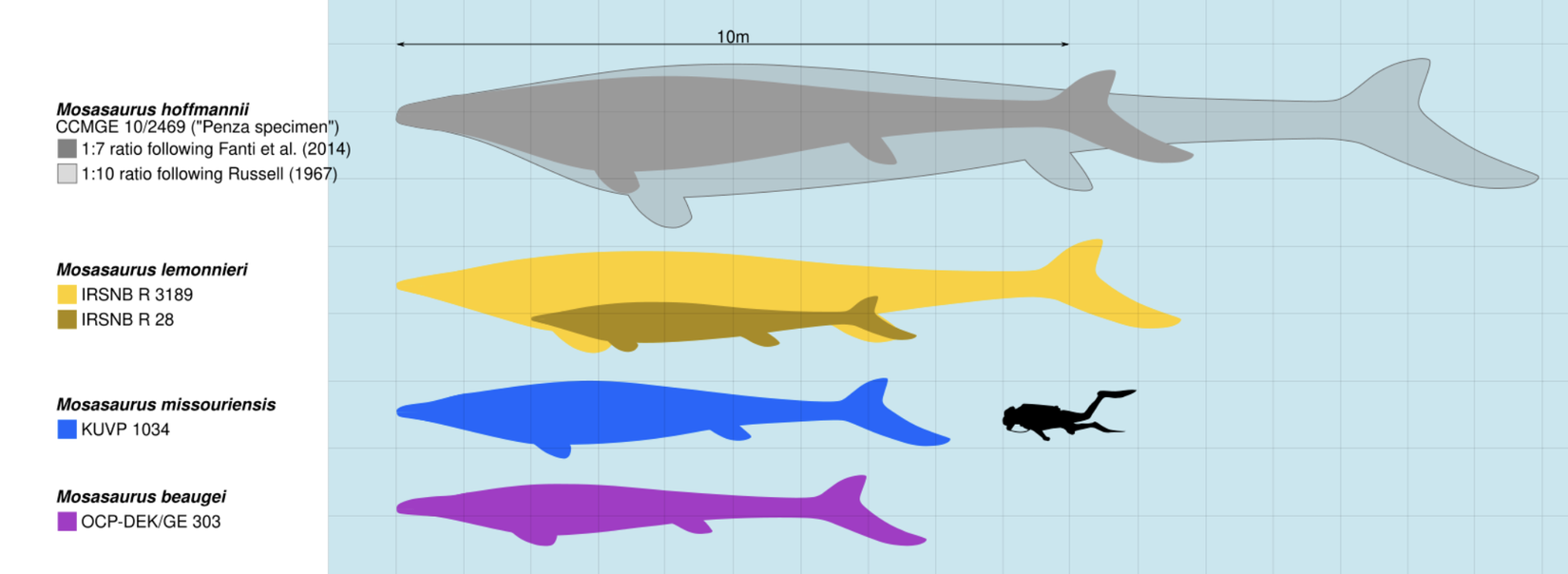 Scientists Shocked By Giant Prehistoric "Sea Monster" Discovered In A ...
