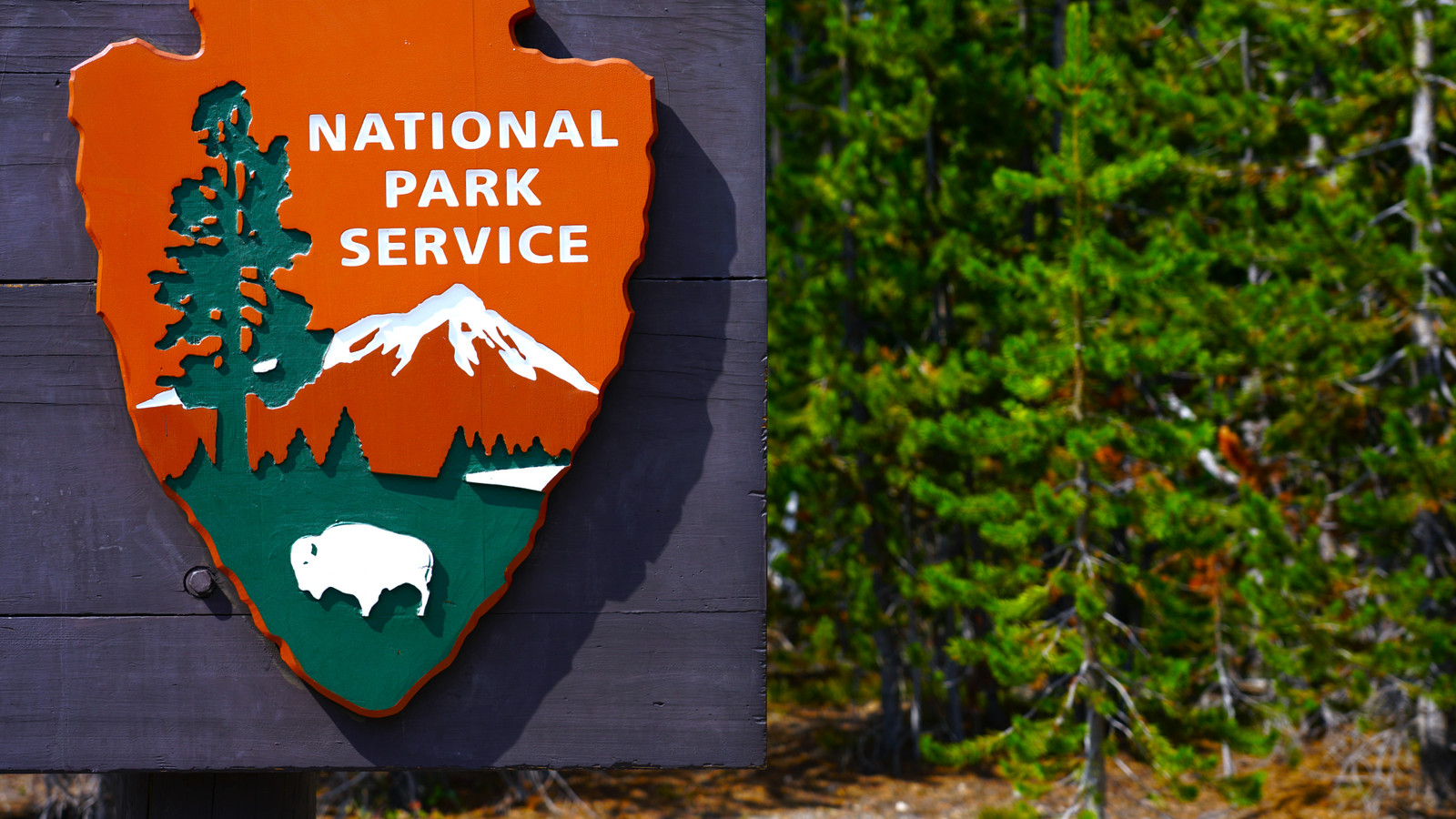 NPS Just Set "Unconstitutional, Discriminatory" New Ban Rule On ...