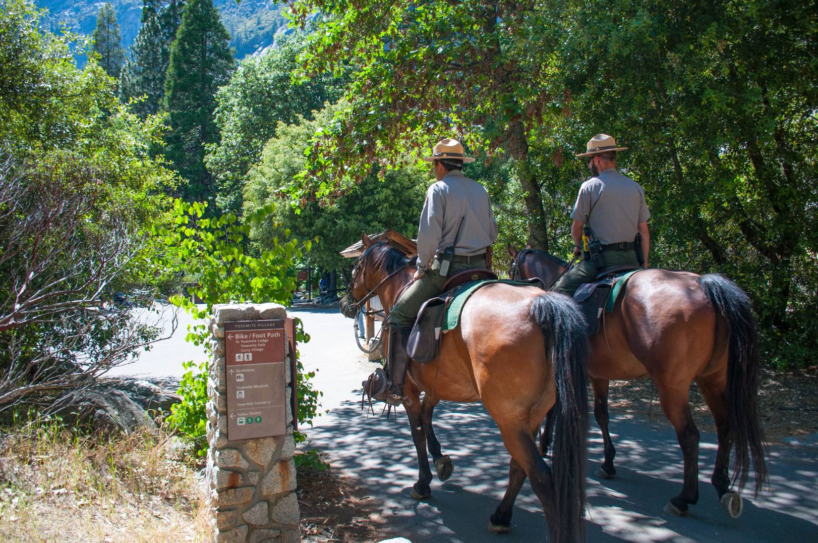 "We'll Never Learn From Our Mistakes": Americans Outraged By ...