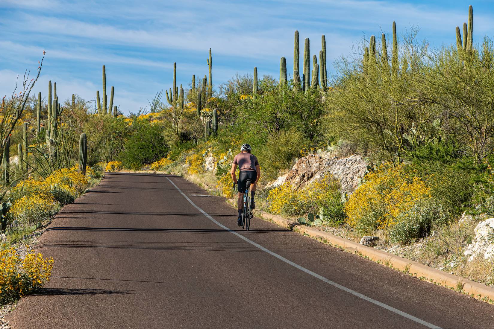 Skip Florida: This Arizona Desert Town Is The Most Affordable 2026 ...