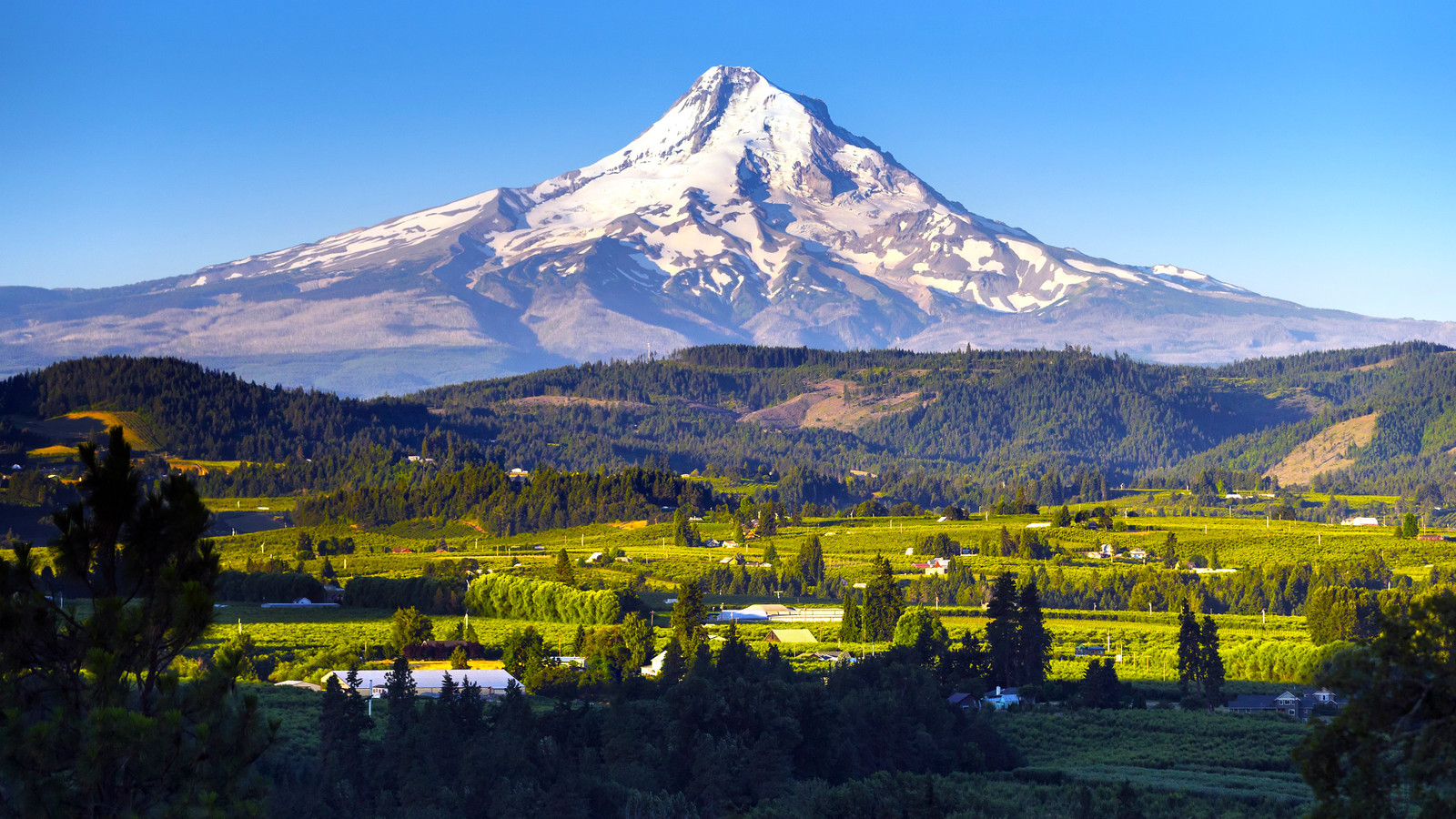Scenic, But Underrated: This Oregon Town Is The Perfect Portland ...