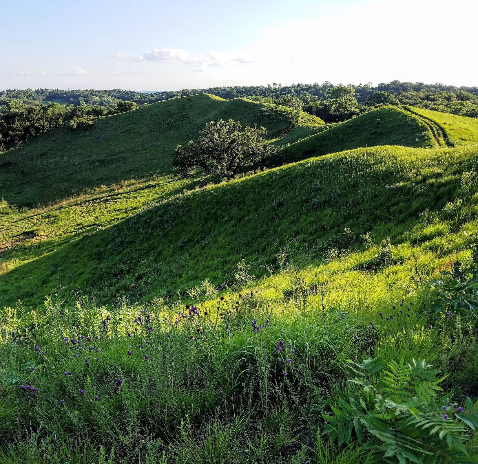 This U.S. Road Trip Route Is So Scenic, It Feels Unreal