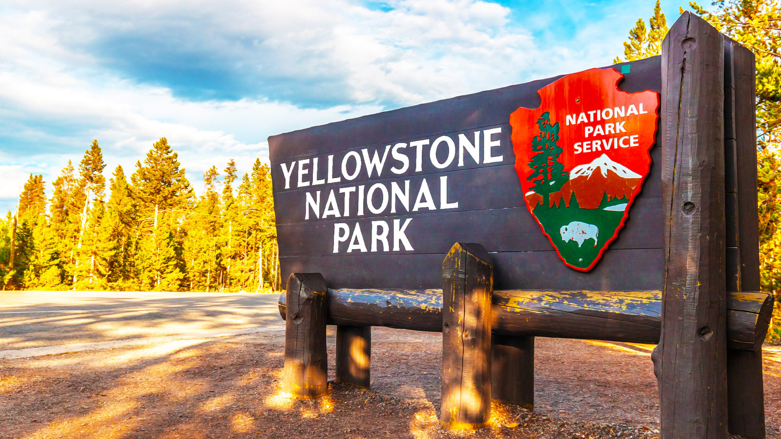 U.S. Scientists Rejoice As Creature In Yellowstone National Park Leads ...
