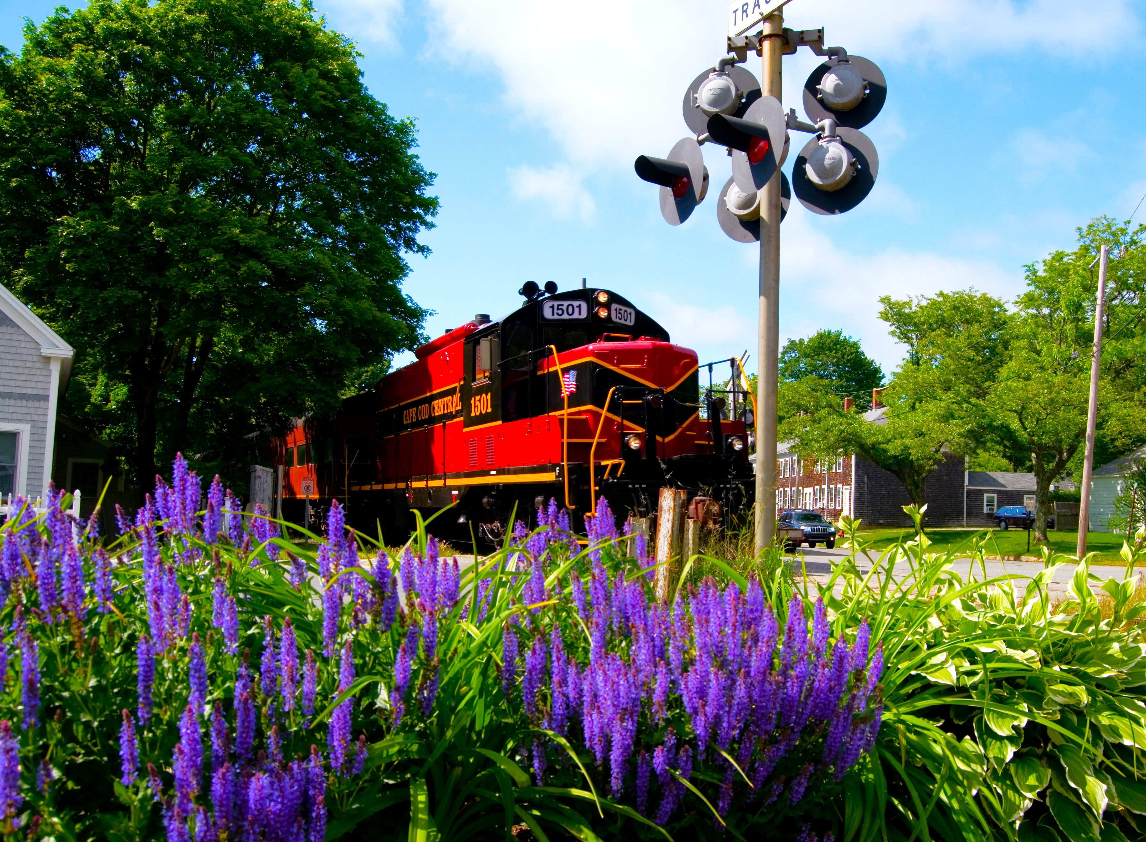 Amtrak Passengers Are Overjoyed With Return Of This Popular Route