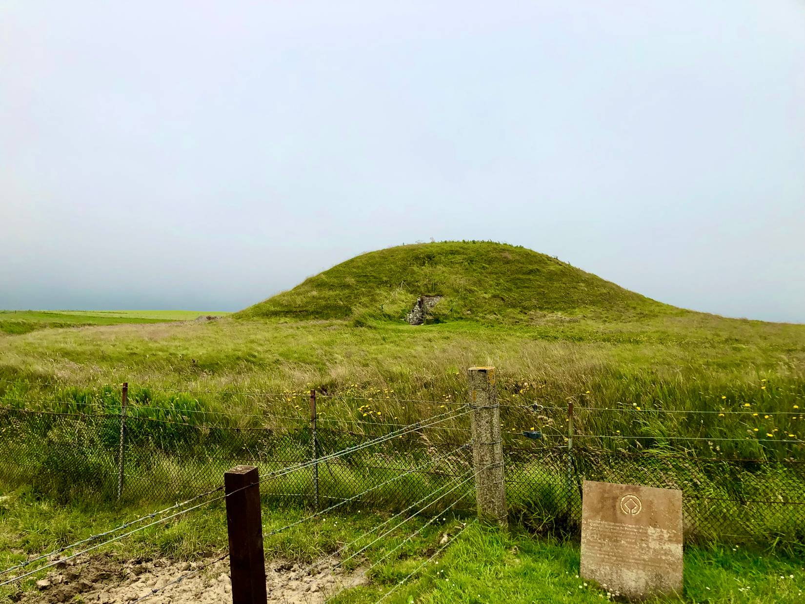 7 Most Remarkable Examples Of Ancient Graffiti