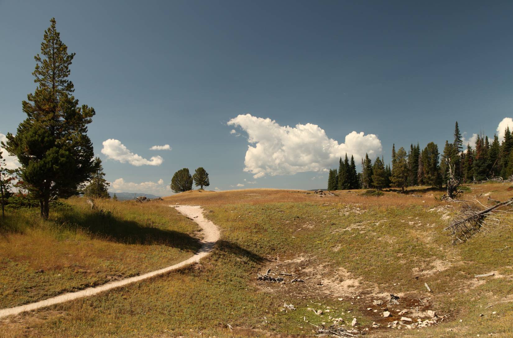 Yellowstone National Park's Most Underrated Hiking Spot