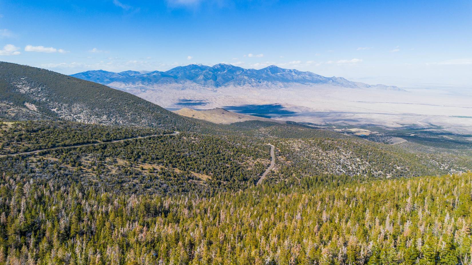 Everyone Talks About Yosemite—But Great Basin May Be The Underrated Gem