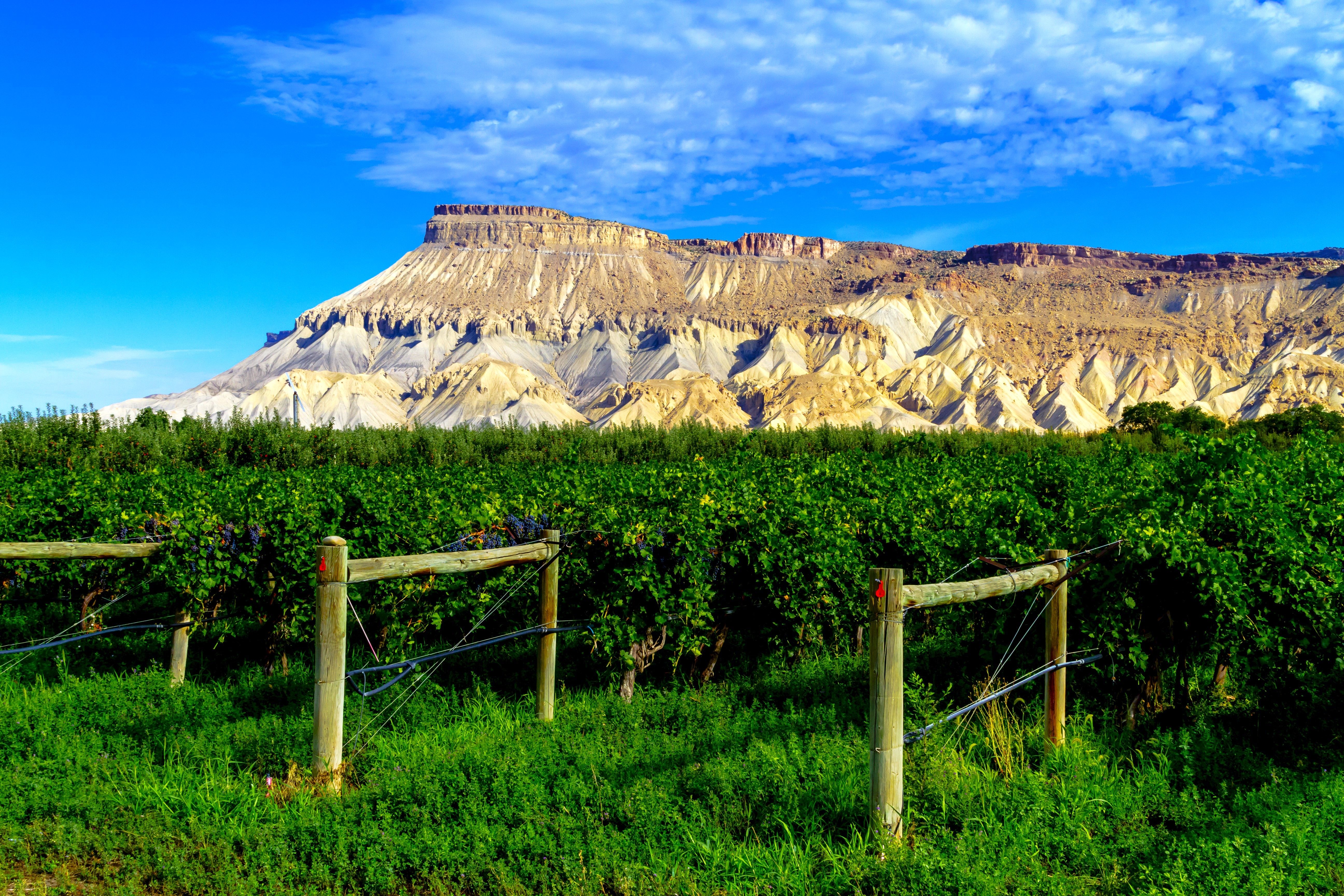 7 Gorgeous Desert Towns In Colorado