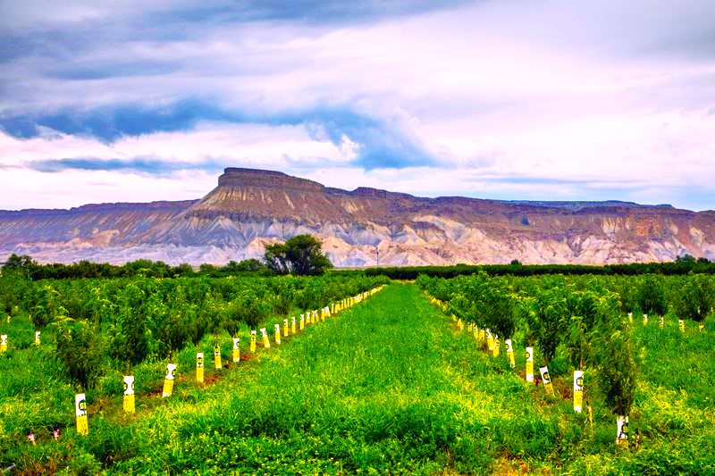 This Affordable Napa Lookalike Has An Epic Wine Scene And Outdoorsy Vibes