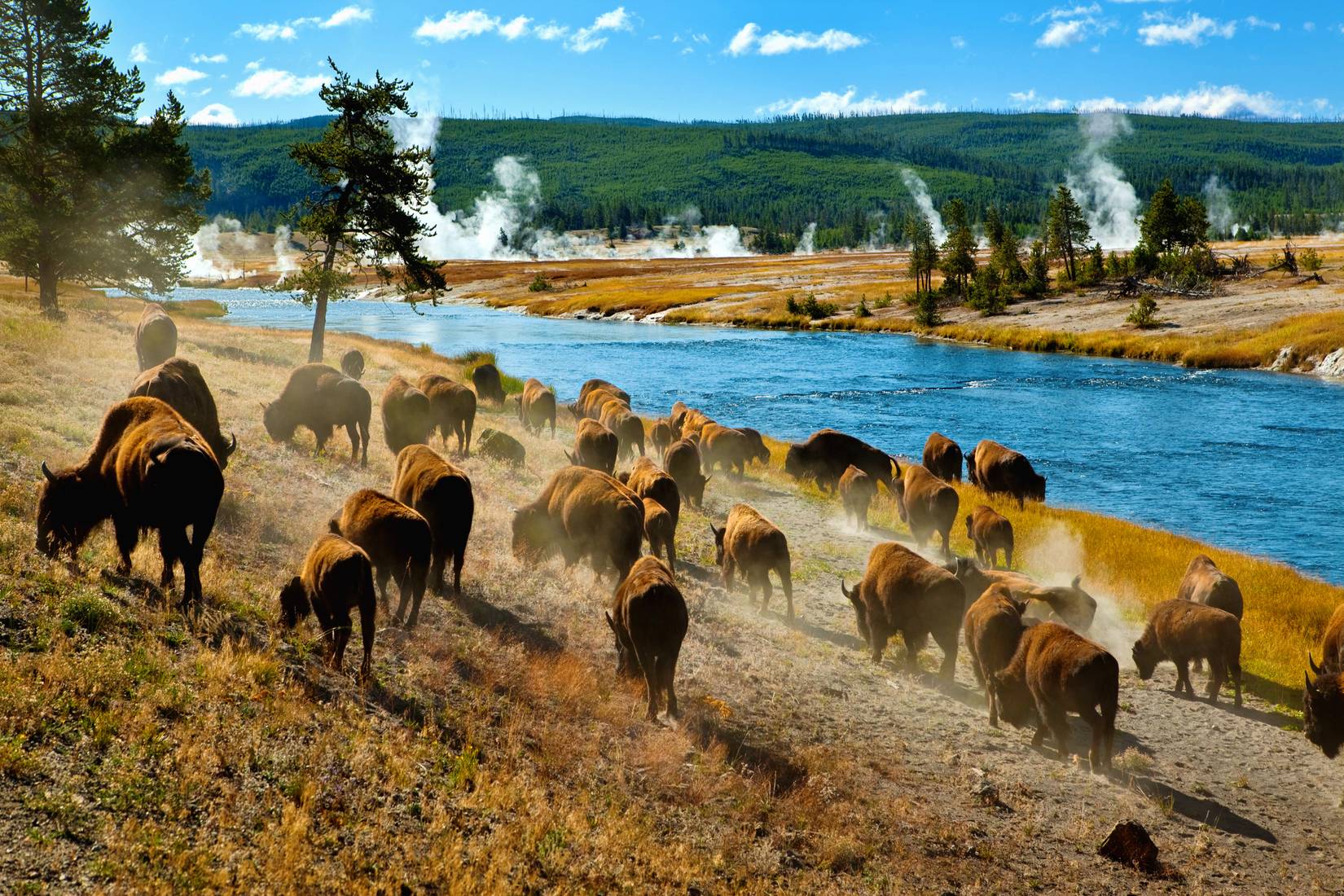 America's Oldest National Park Recently Revealed Something Critical