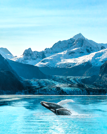 Why The World's Largest Zip Line In Alaska Should Be On Your Bucket List