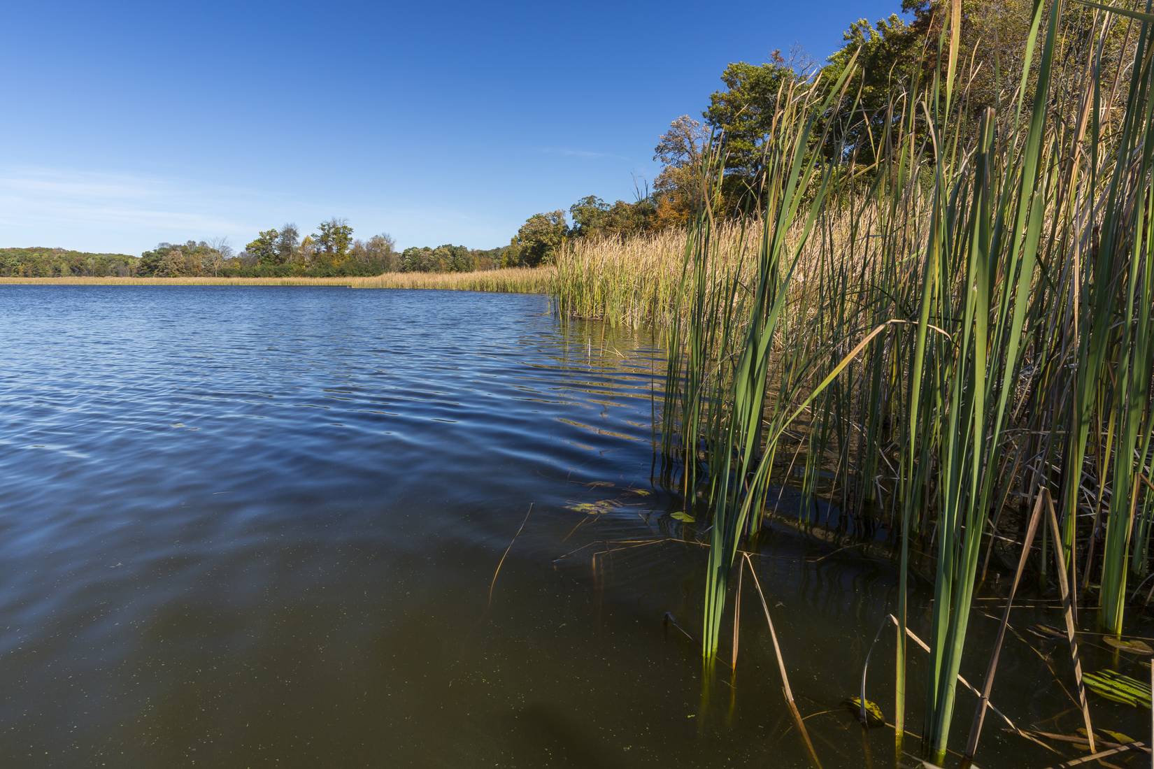 This Overlooked State Park Is Like a Mini Glacier National Park With ...