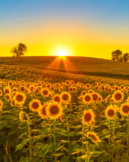 Kansas - History | TheTravel