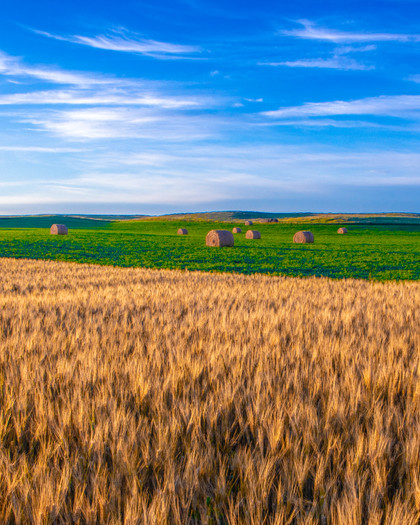 North Dakota - Population | TheTravel