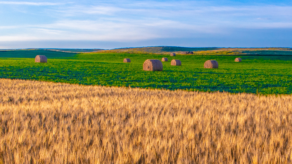 North Dakota - Population | TheTravel