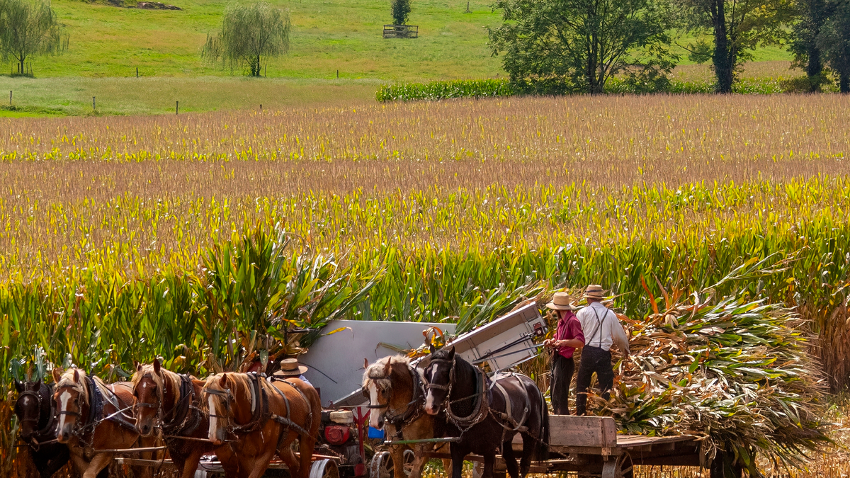 Pennsylvania - Flags & Symbols | TheTravel