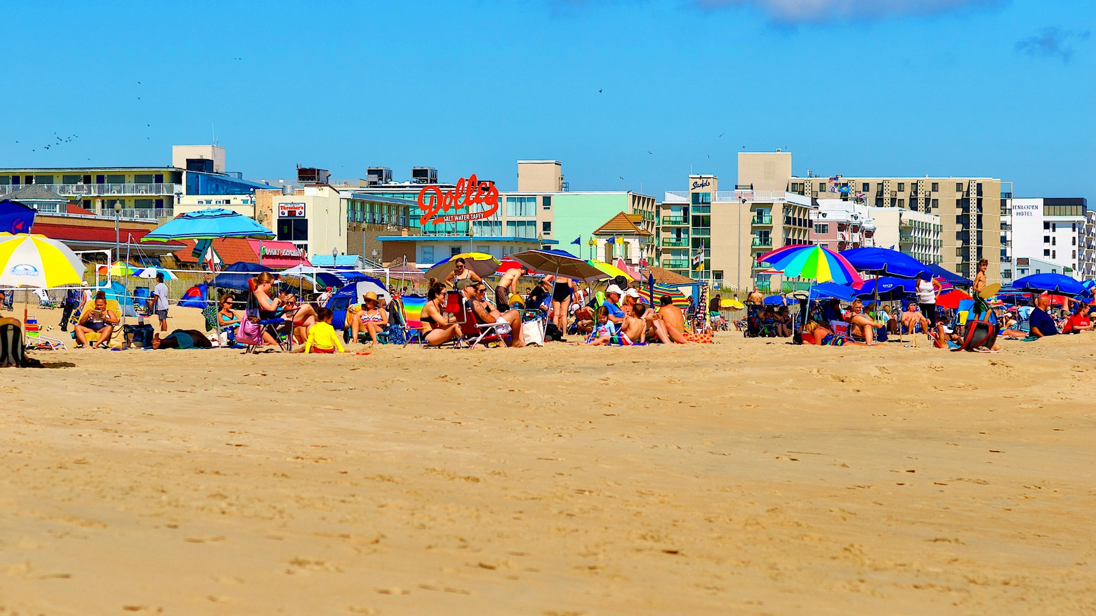 Labor Day Beachgoers Are Swimming In “Poopy Water”: New Report Shares ...