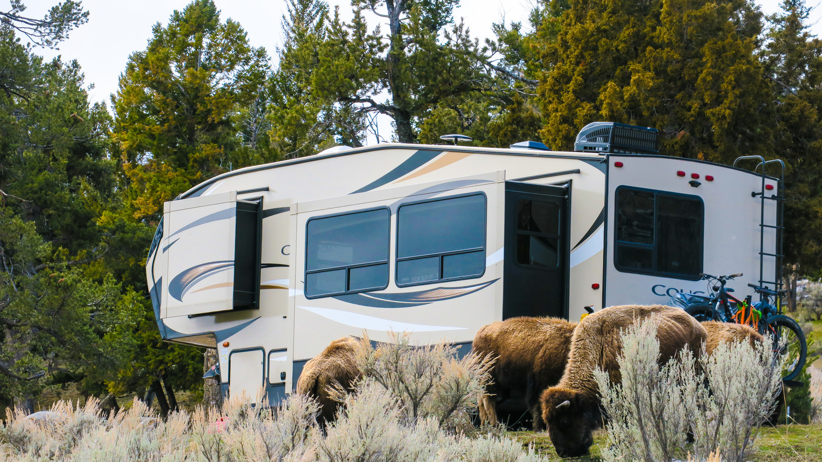 Yellowstone National Park Has A Camping Problem: The Numbers Don't Lie
