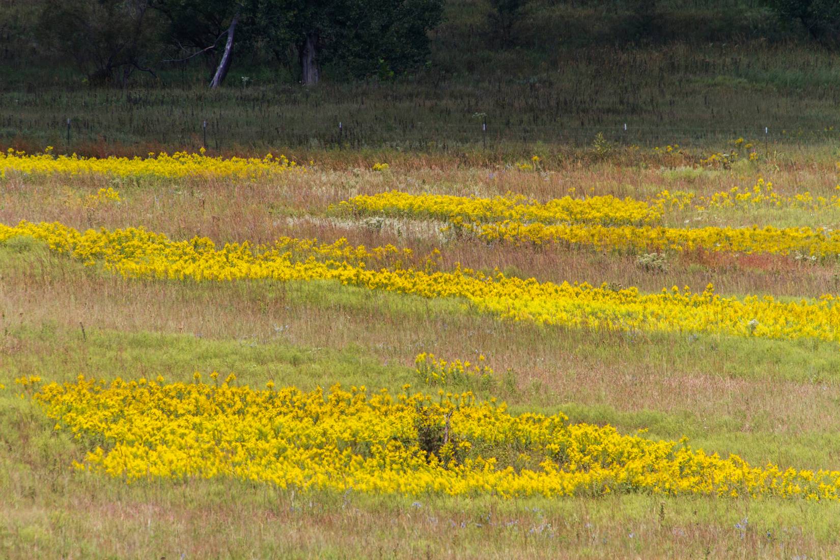 One Of America's Most Scenic Drives Is Easily Overlooked, But Not To Be ...
