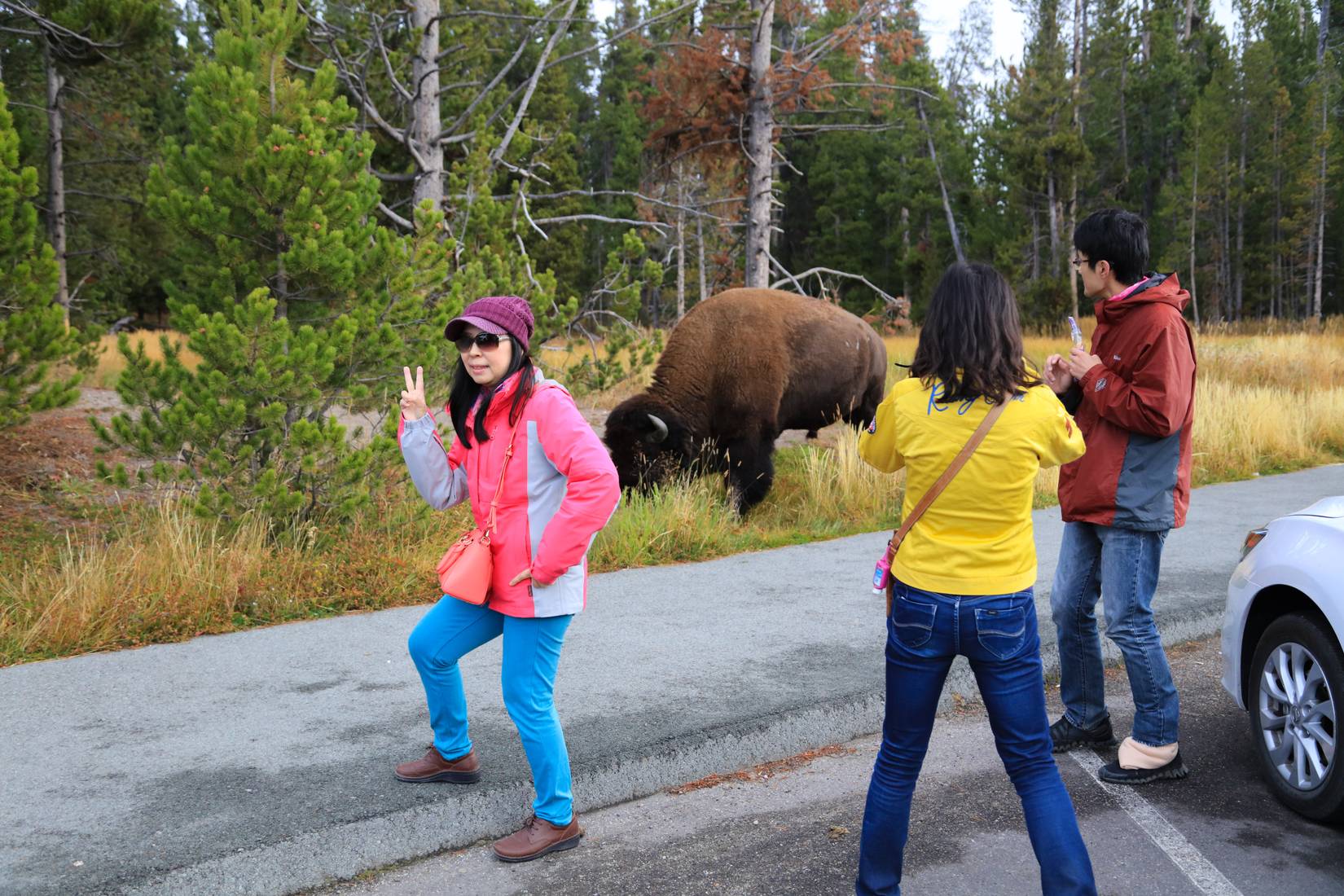 "Tourons" On The Loose: Travelers Are Behaving So Badly That They've ...