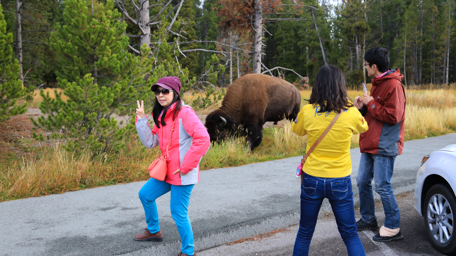 "Tourons" On The Loose: Travelers Are Behaving So Badly That They've ...