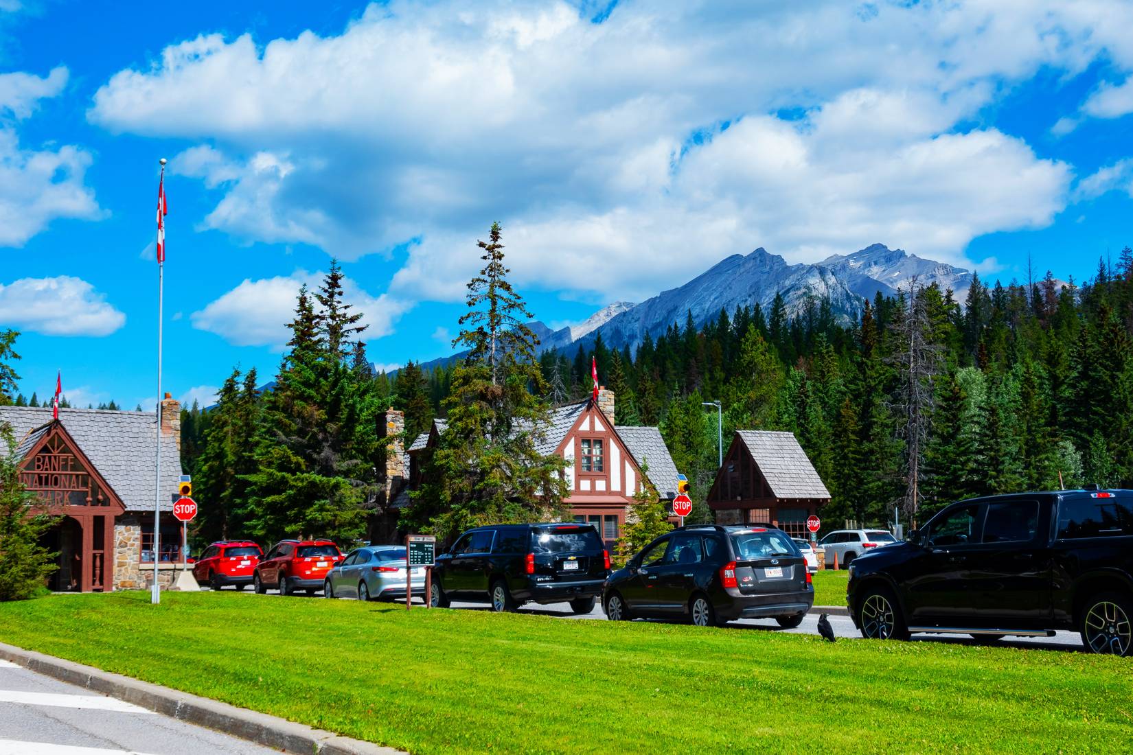 Canada Strong Pass Does More Harm Than Good As Banff Looks To U.S ...