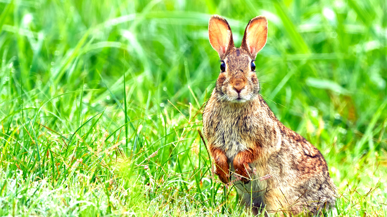 Colorado Parks Officials Reassure Visitors They Have Nothing To Worry ...