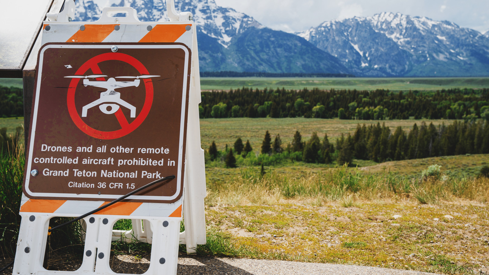 Grand Teton National Park Visitors Are Torn Over Rule-Breaker Caught ...