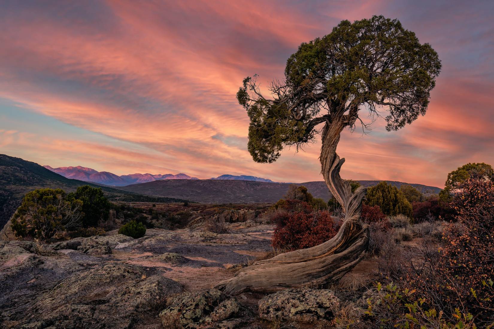 This Underrated National Park Is The Best Place To Spot One Of America ...