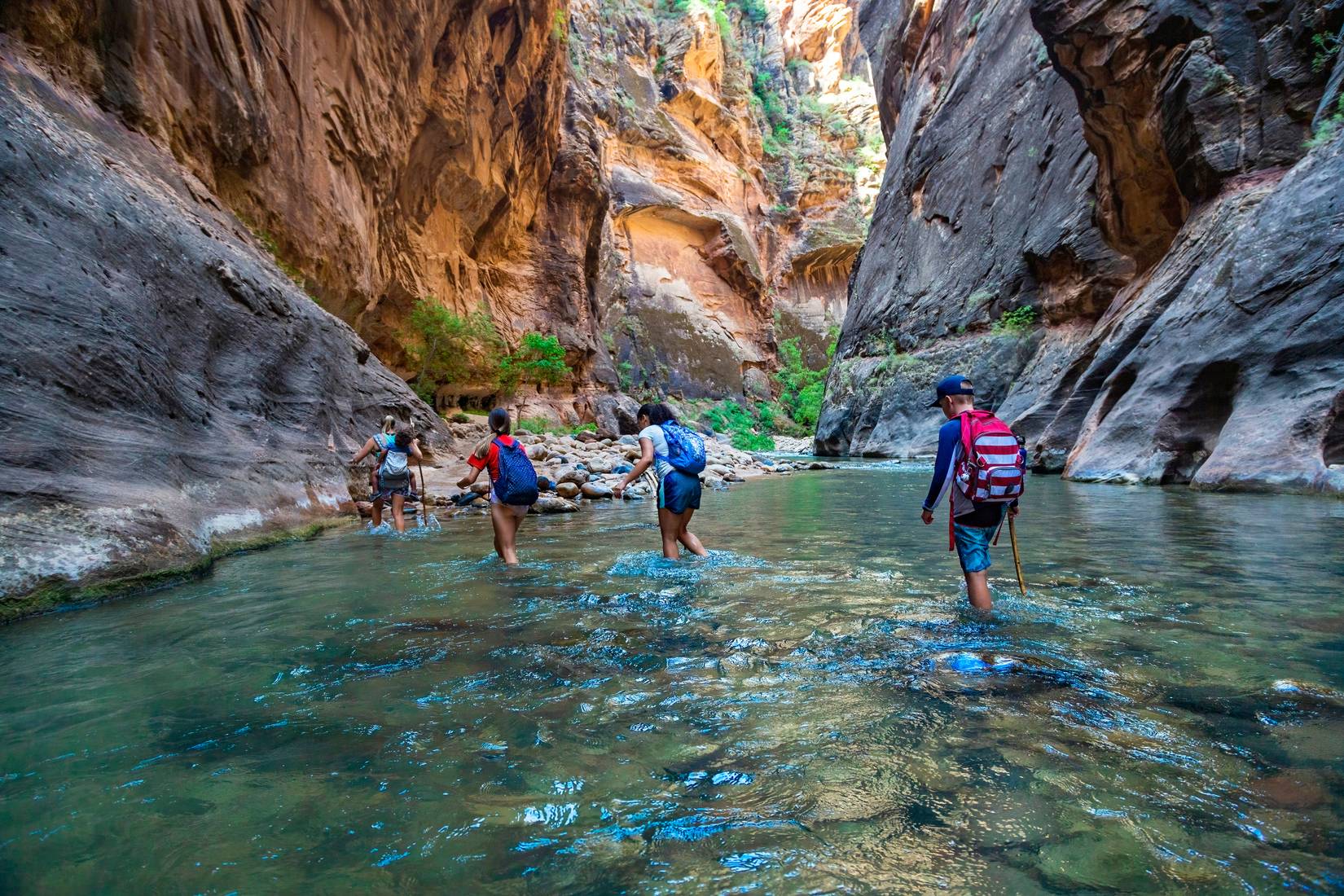 Zion National Park Temporarily Banned Hikers From Its Most Popular ...