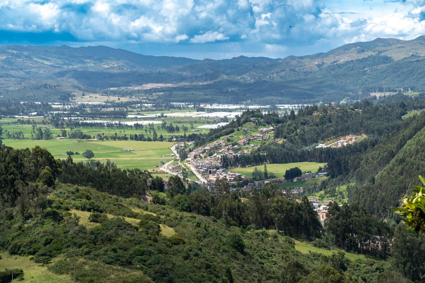 Scientists In Colombia Sound The Alarm In Bogotá: Unknown Human Lineage ...