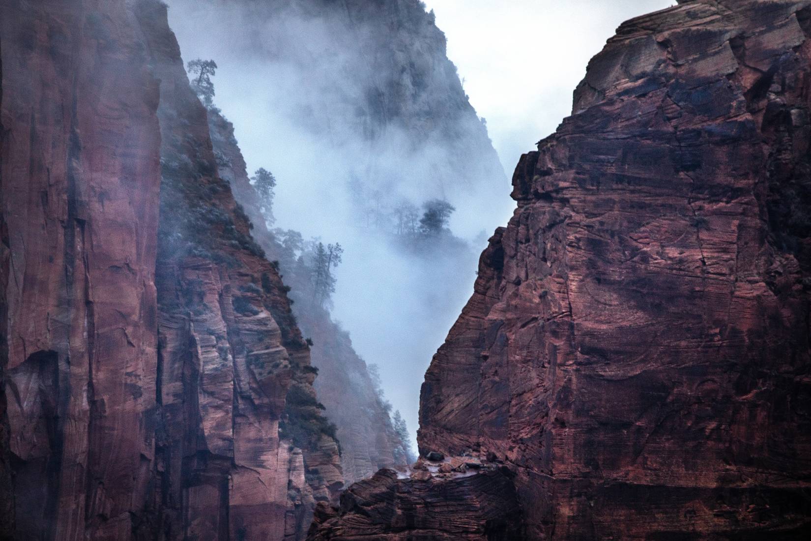 Zion National Park Temporarily Banned Hikers From Its Most Popular ...