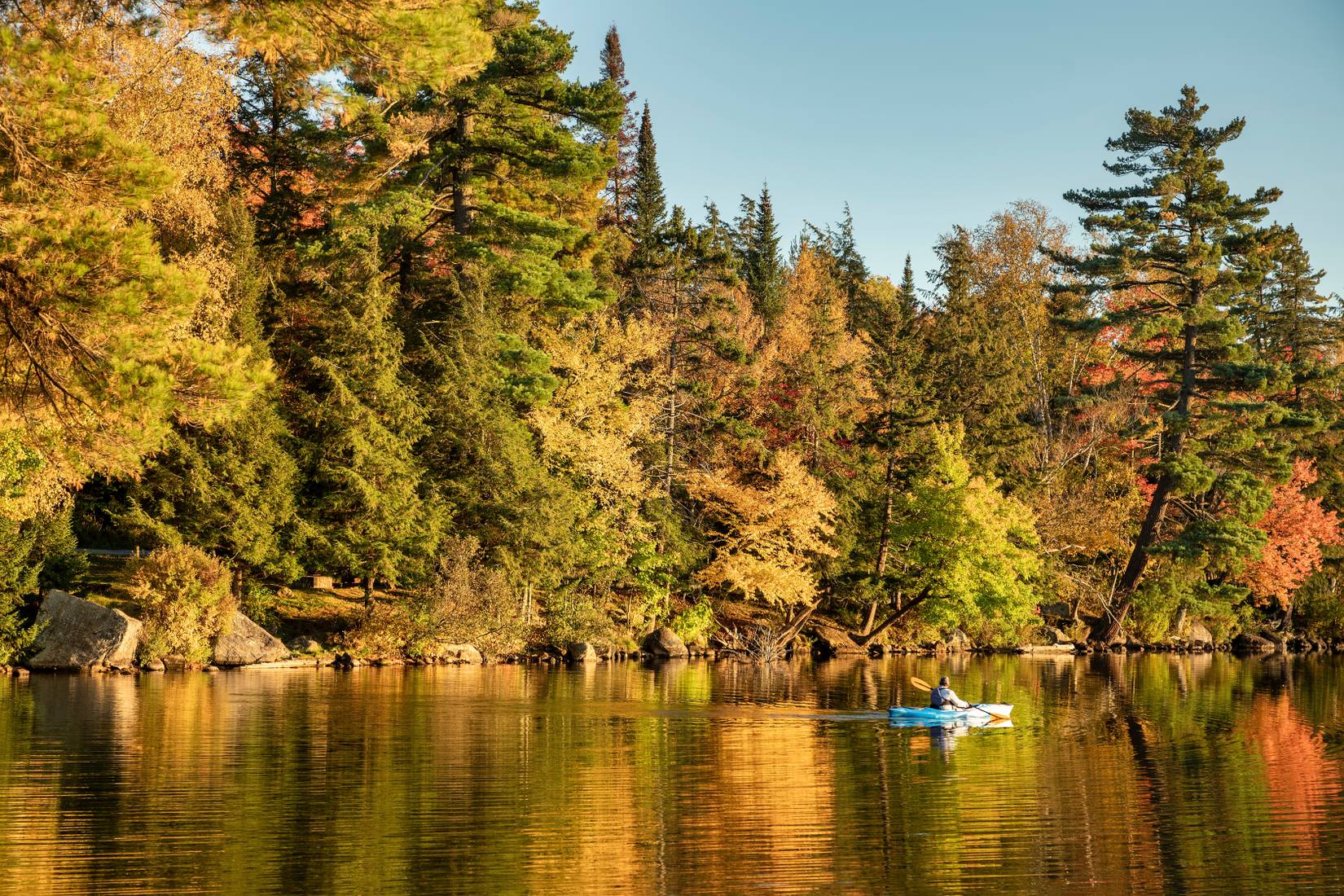 Continental America's Largest State Park Is Also Its Most Unique