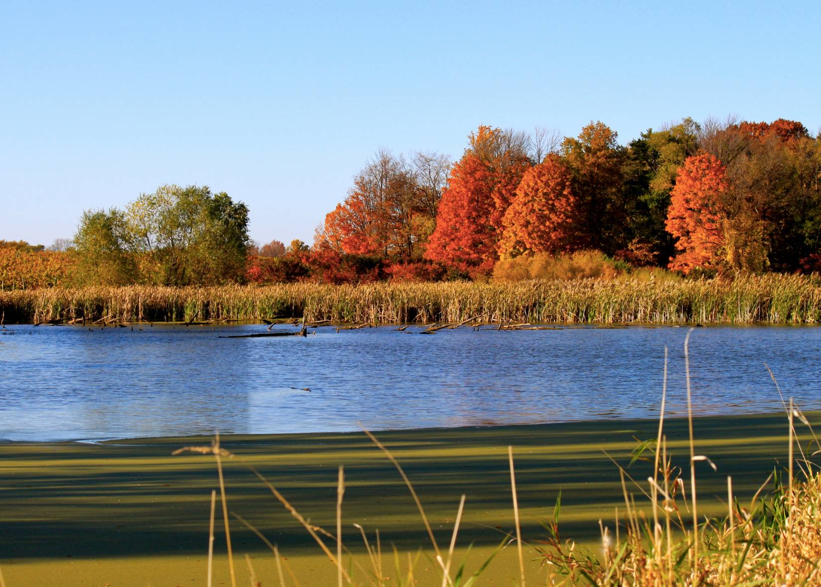 Underrated, But Worth Visiting In 2025: The Midwest's Most Overlooked ...