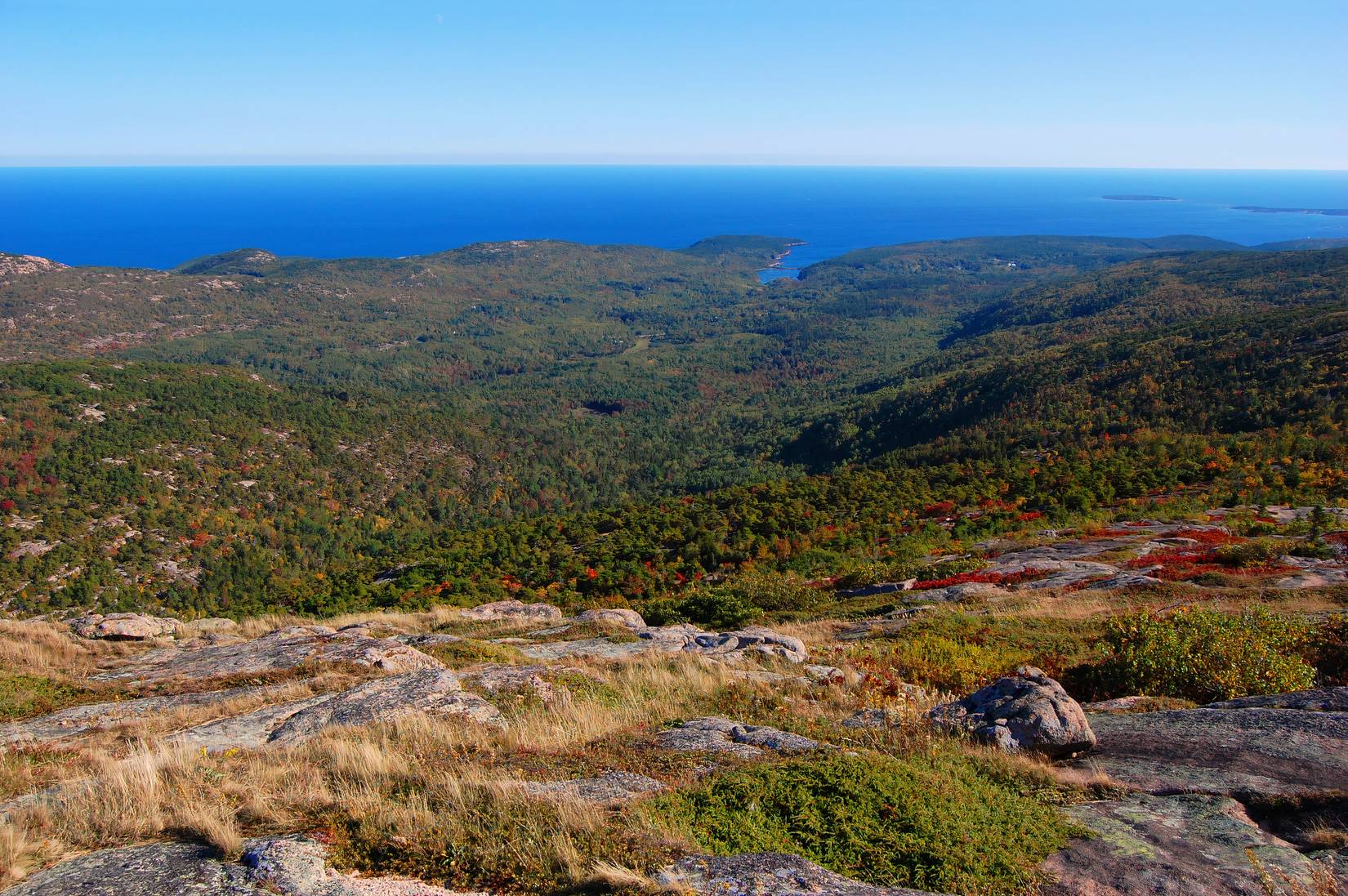 “They Just Won't Come”: Acadia National Park’s Latest Visitor Perk ...