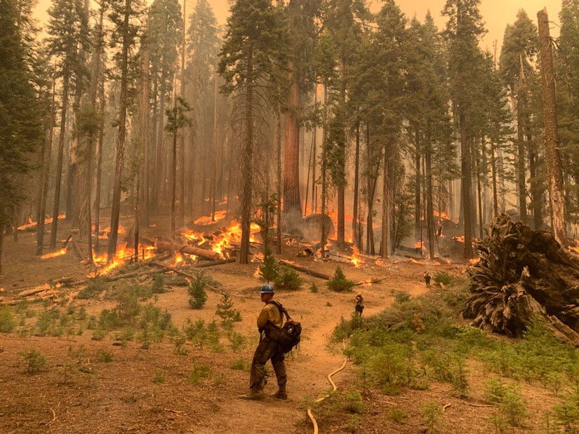Popular California National Park Hit By Wildfire As U.S. Shutdown Drags On