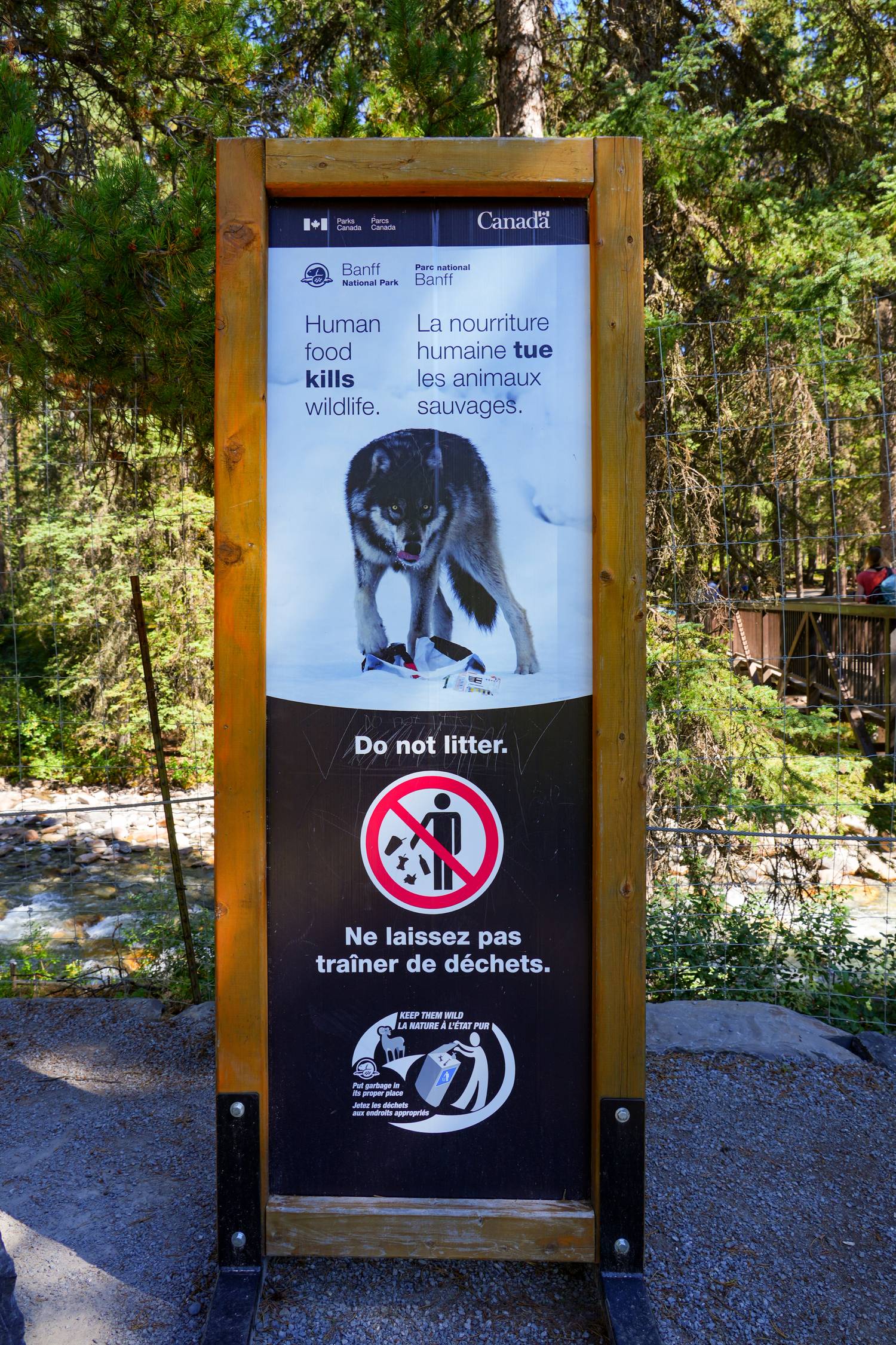 Banff National Park Visitors Get Slapped With Charges Over Careless ...