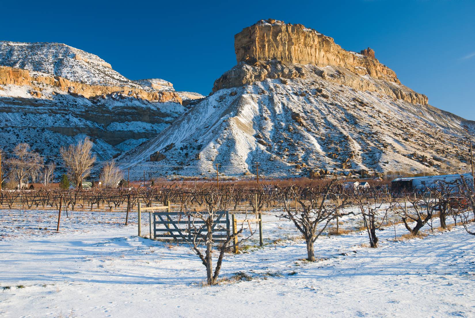 America's Coolest Desert Town Is Found In Colorado